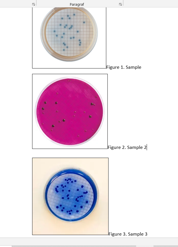 Solved Paragraf 0 Figure 1. Sample Figure 2. Sample 2 Figure | Chegg.com