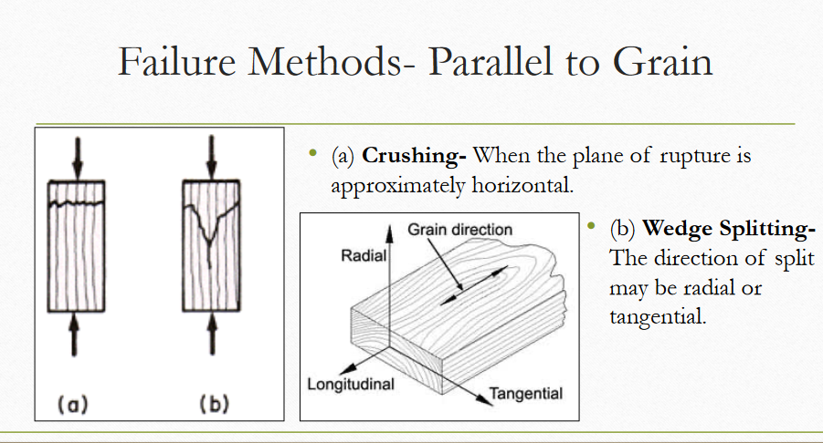 Solved Compression Test- Wood specimens "Wood differs from | Chegg.com