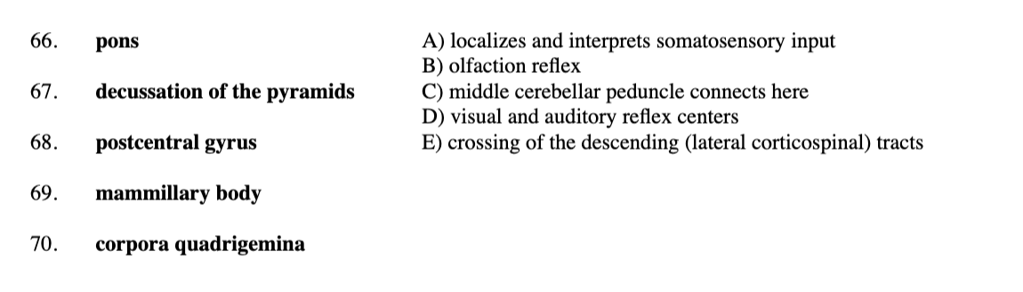 Solved 66. pons 67. decussation of the pyramids A) localizes | Chegg.com