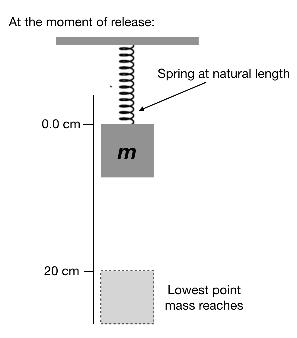 Solved A spring with spring constant k hangs vertically from | Chegg.com