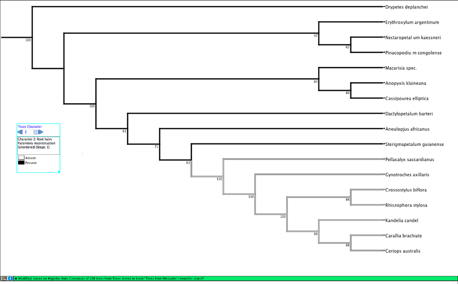 -Drypetes deplanchei "Erythroxylum argentinum | Chegg.com