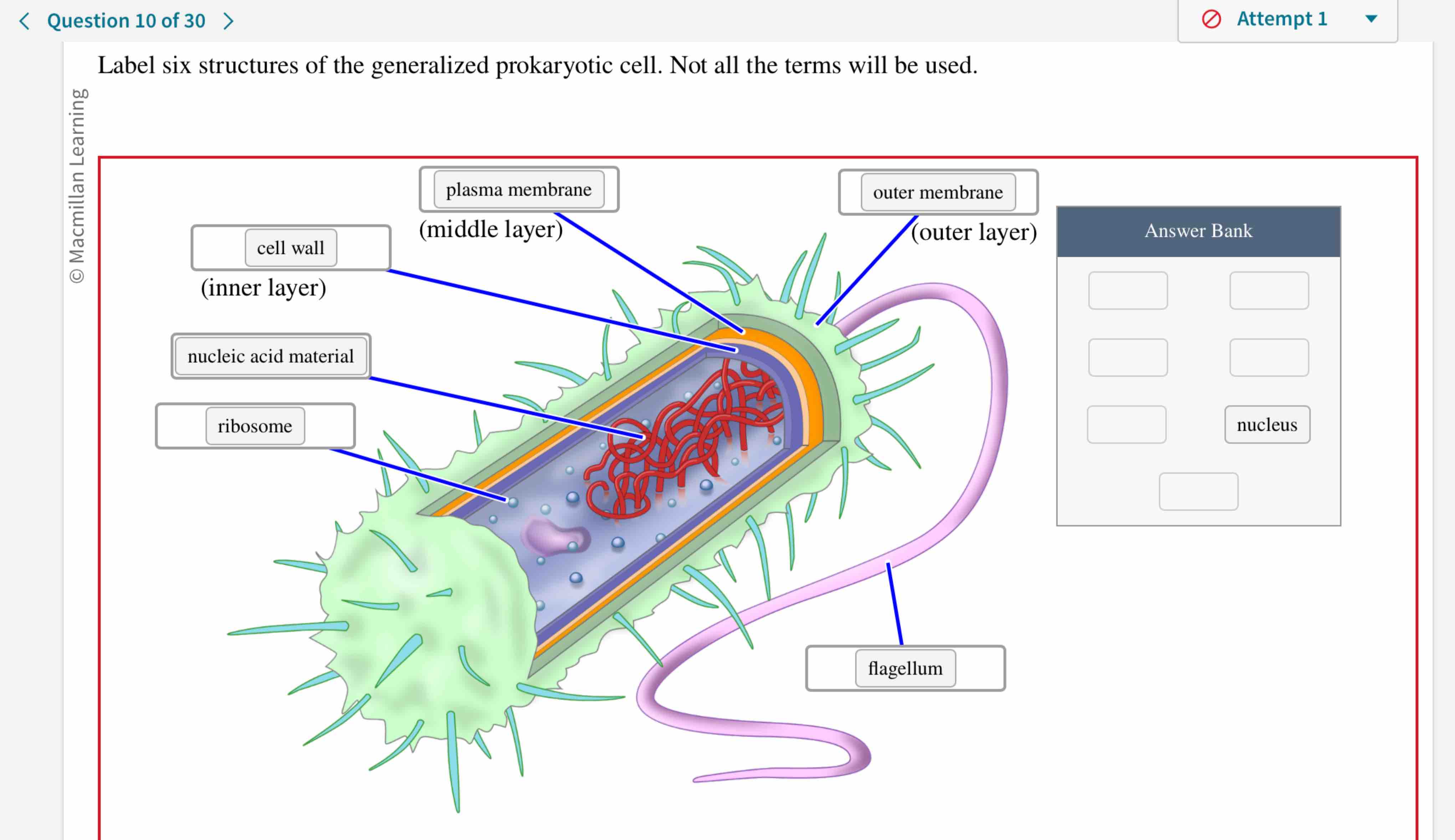 Solved Question 10 ﻿of 30>Label six structures of the | Chegg.com