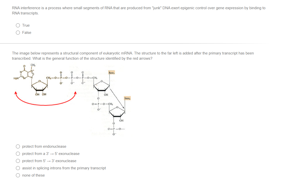 Solved RNA interference is a process where small segments of | Chegg.com