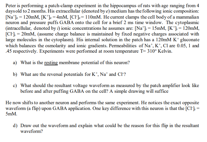 Solved Peter is performing a patch-clamp experiment in the | Chegg.com
