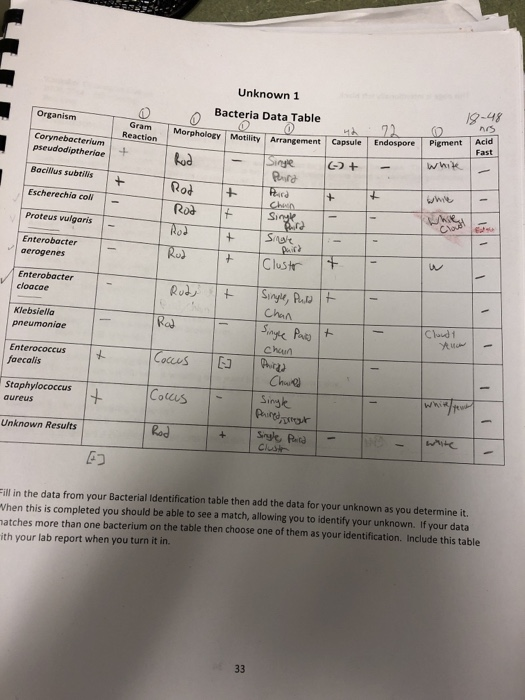 Solved Unknown 1 9-48 Bacteria Data Table o Organism Gram | Chegg.com Solved Unknown 1 9-48 Bacteria Data Table o Organism Gram | Chegg.com