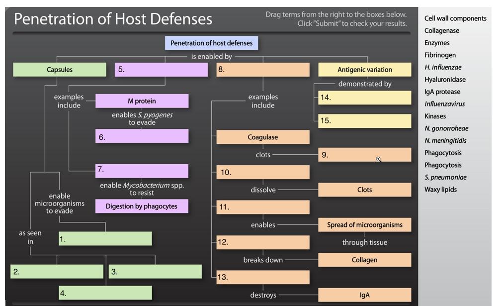 Solved Penetration of Host Defenses Capsules 5. examples | Chegg.com