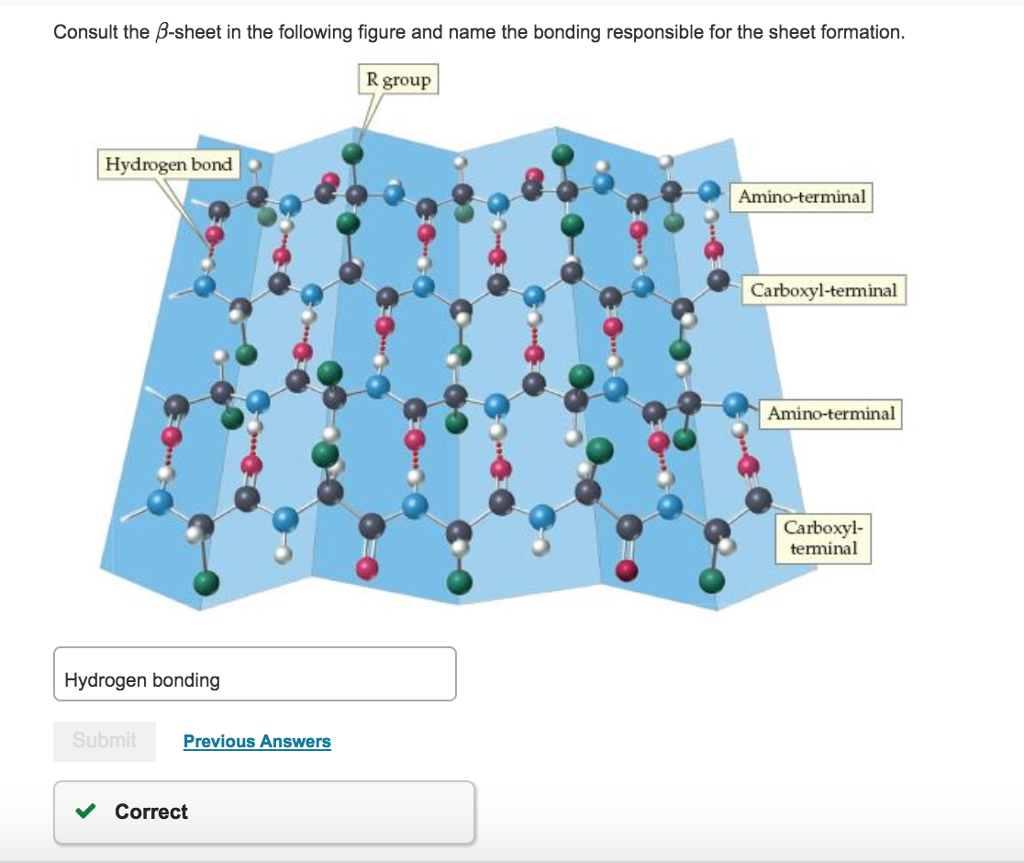Solved Consult the B-sheet in the following figure and name | Chegg.com