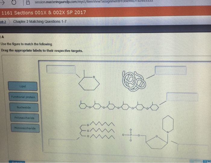 Biology Archive | January 30, 2017 | Chegg.com