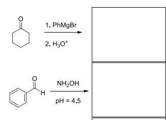 Solved 1. PhMgBr 2. H30* NH-OH pH = 4.5 | Chegg.com