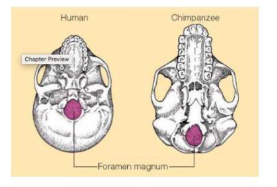 Solved As you saw in the question above, the position of | Chegg.com