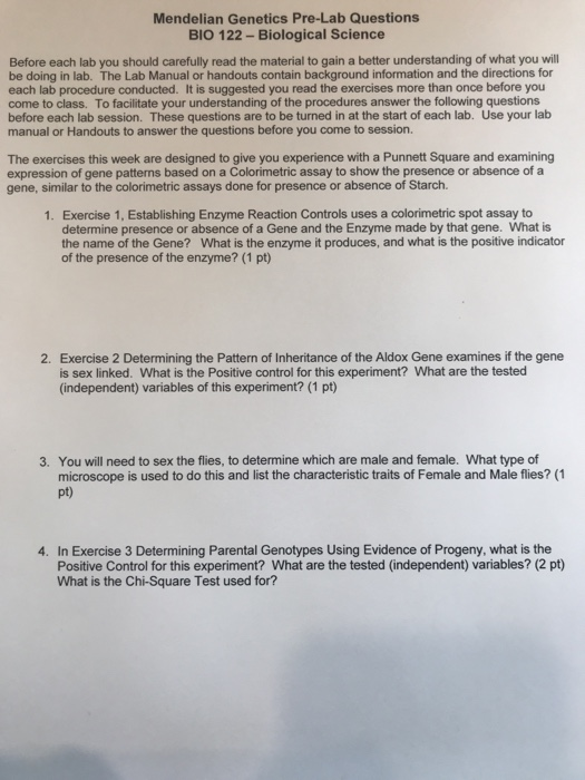 Solved Mendelian Genetics Pre-Lab Questions BIO | Chegg.com