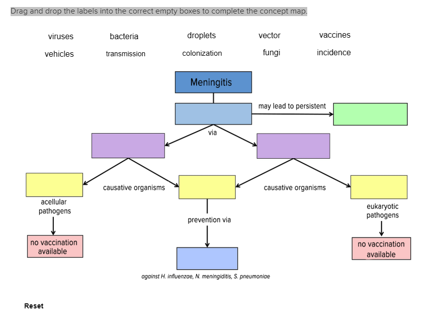 Solved Drag and drop the labels into the correct empty boxes | Chegg.com