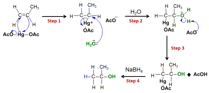 (Solved) - Question 4 (2 Points) CH3 1. Hg(OAc)2, H2O H C C 2. NaBH4 H... (1 Answer) | Transtutors