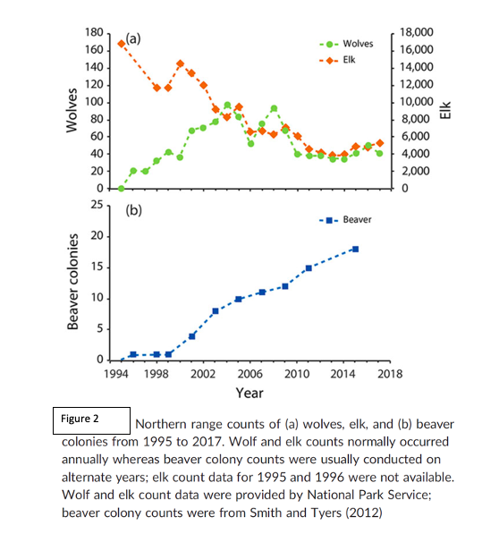 Solved Can large carnivores change streams via a trophic | Chegg.com