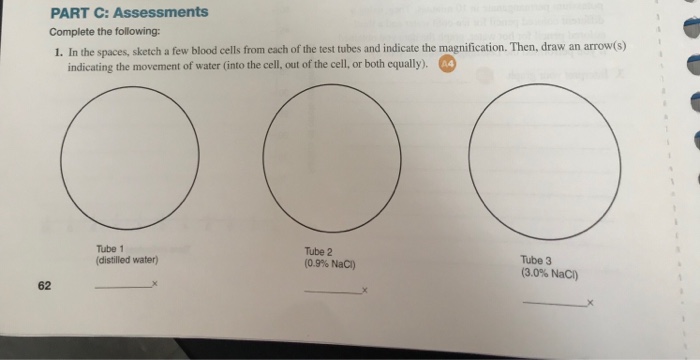 Solved PART C: Assessments Complete the following 1. In the | Chegg.com Solved PART C: Assessments Complete the following 1. In the | Chegg.com