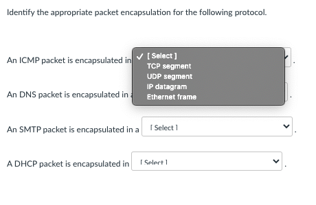 Solved Identify the appropriate packet encapsulation for the | Chegg.com
