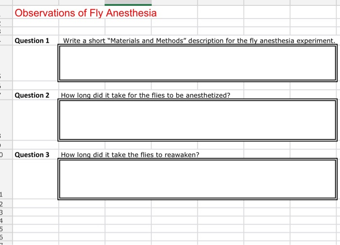 Solved Observations of Fly Anesthesia Write a short | Chegg.com