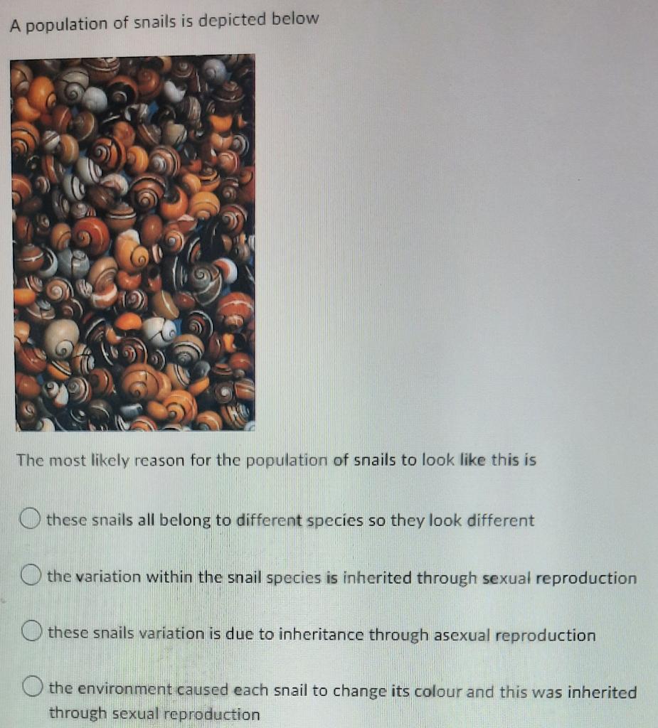 Solved A population of snails is depicted below The most | Chegg.com