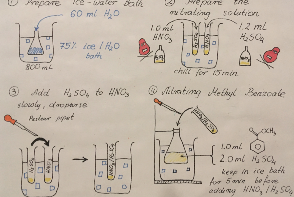 Solved For my online lab, nitration of methyl benzoate, The | Chegg.com