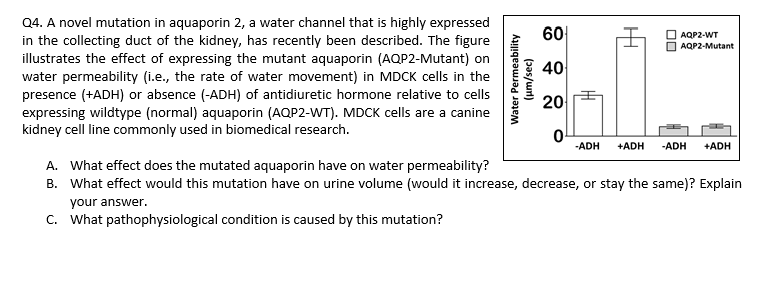Solved Q4. A novel mutation in aquaporin 2, a water channel | Chegg.com