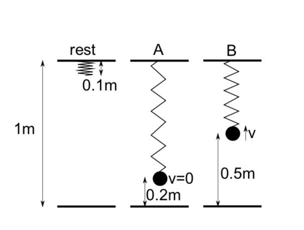 This question is about the conservation of energy. | Chegg.com