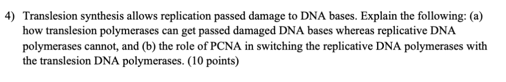 Solved 4) Translesion synthesis allows replication passed | Chegg.com