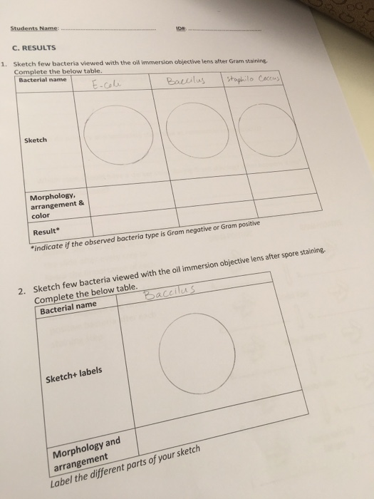 Solved What is the results with the gram staining with these | Chegg.com