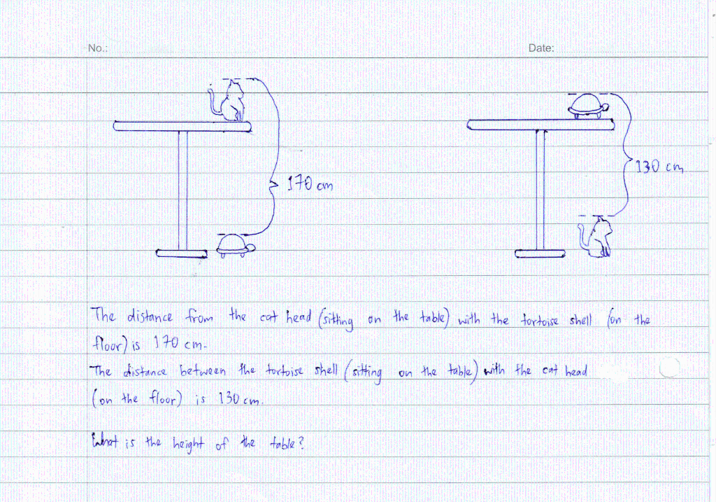 Solved The distance from the cat head (sitting on the table) | Chegg.com