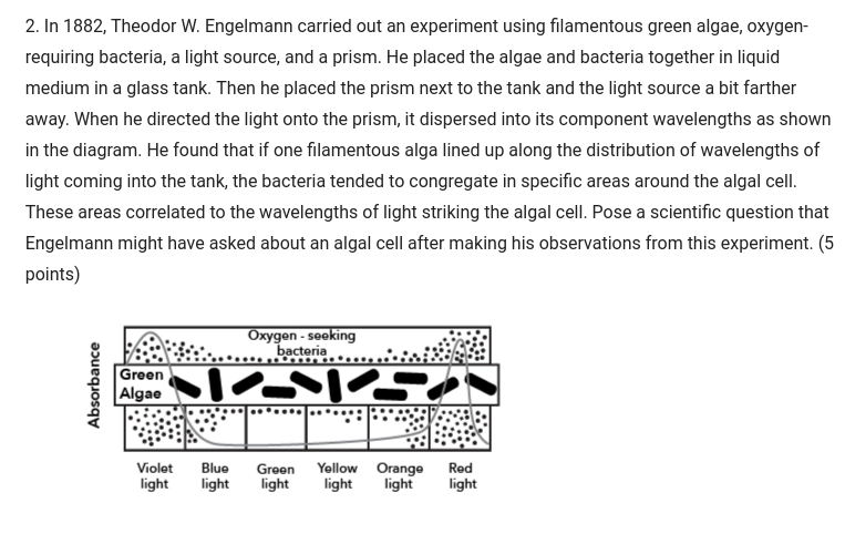 Solved 2. In 1882, Theodor W. Engelmann carried out an | Chegg.com