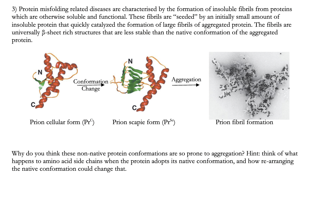 Solved b) The three helices are stabilized by H-bonding and | Chegg.com