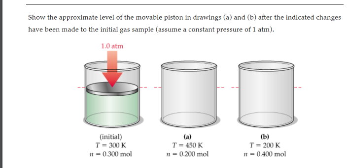 Solved Show the approximate level of the movable piston in | Chegg.com