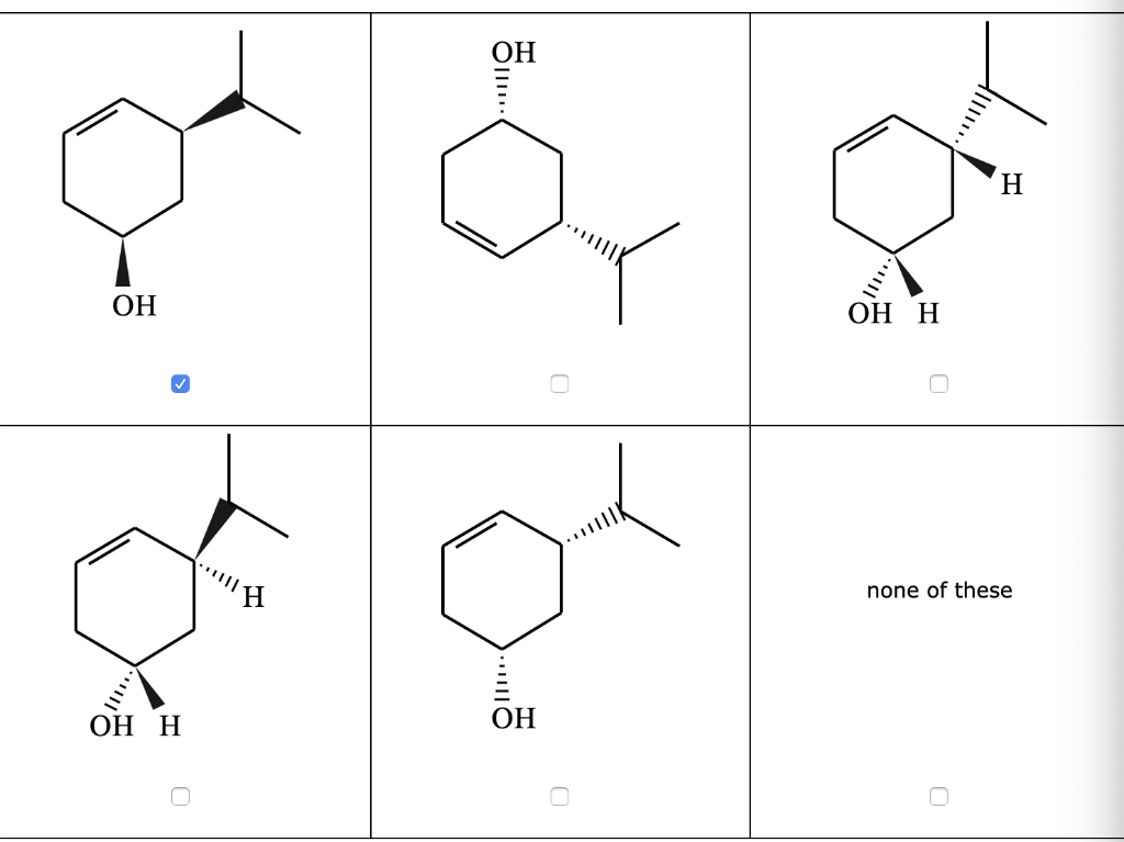 Solved Which of these structures shows how the pictured | Chegg.com