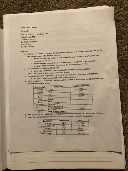 Solved You are given 3ul of each primer needed for the | Chegg.com