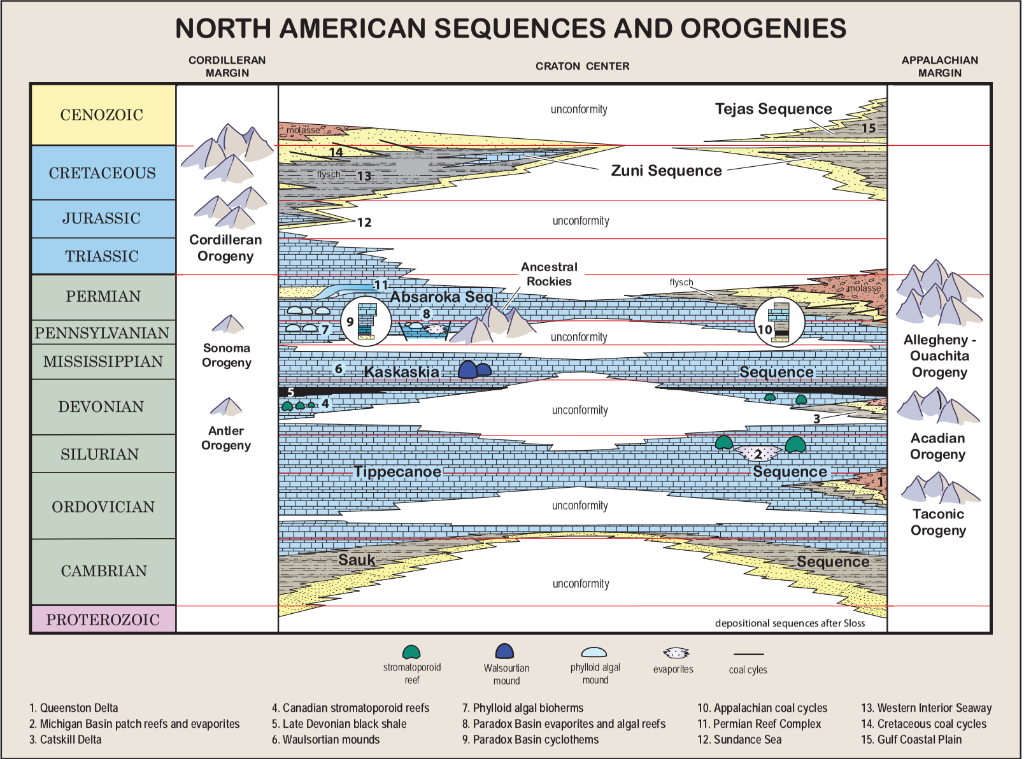 NORTH AMERICAN SEQUENCES AND OROGENIES CORDILLERAN | Chegg.com