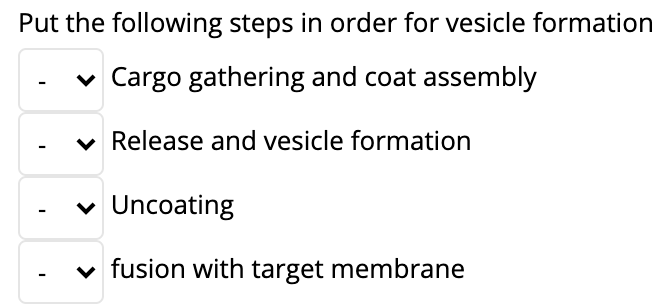 Solved Put the following steps in order for vesicle | Chegg.com