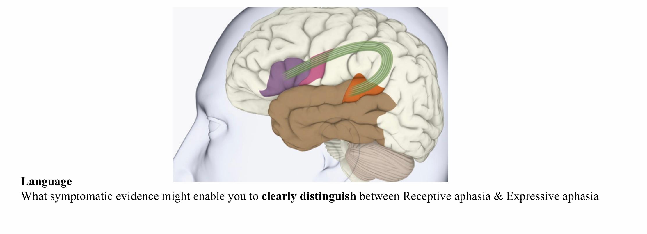 Solved Language What symptomatic evidence might enable you | Chegg.com