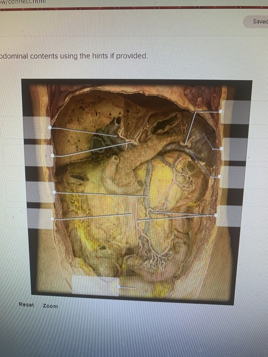 Solved w/connecthu Saved dominal contents using the hints if | Chegg.com