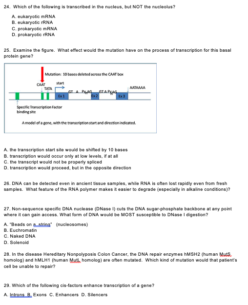 Solved: 1. What Is The RNA Transcript Sequence Predicted F... | Chegg.com