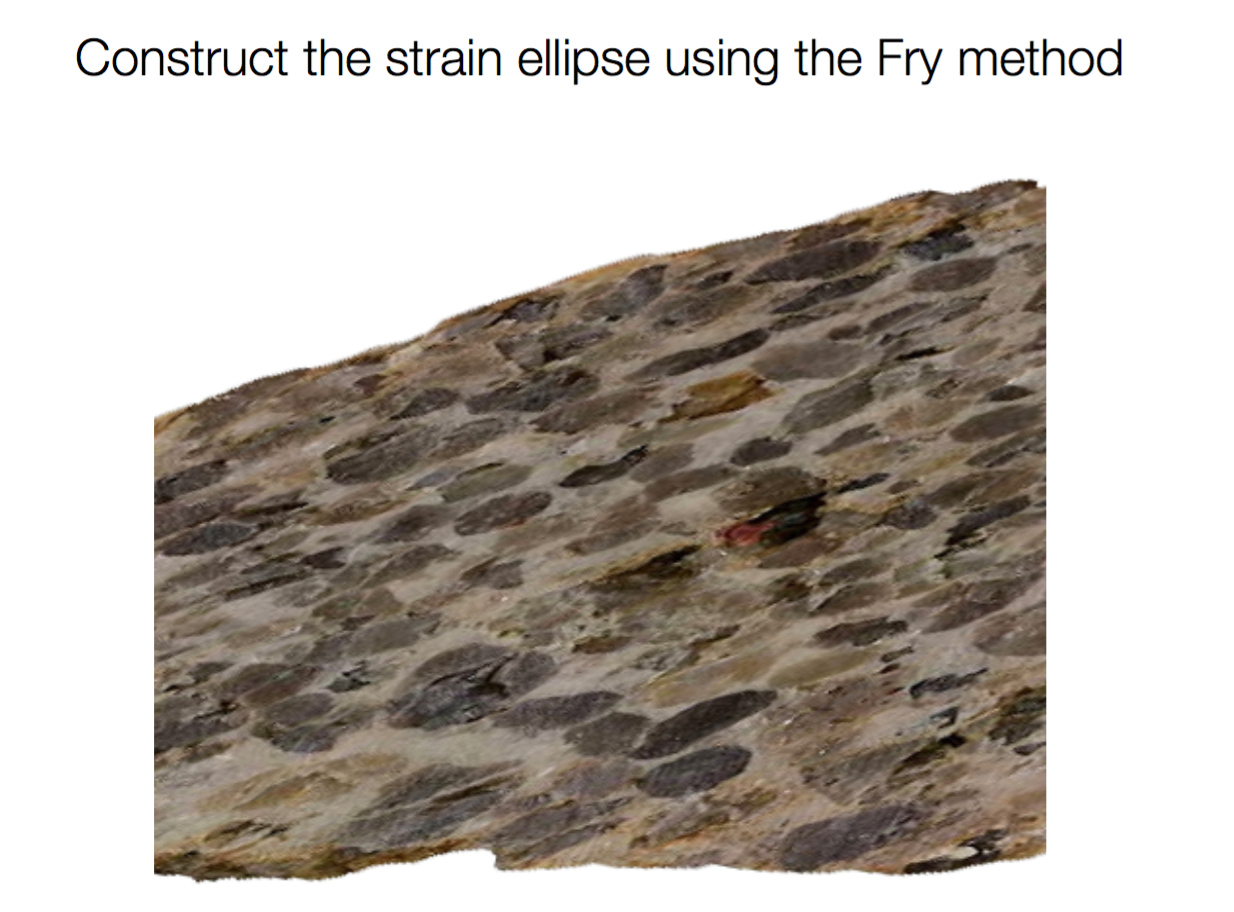 Solved Construct the strain ellipse using the Fry method | Chegg.com