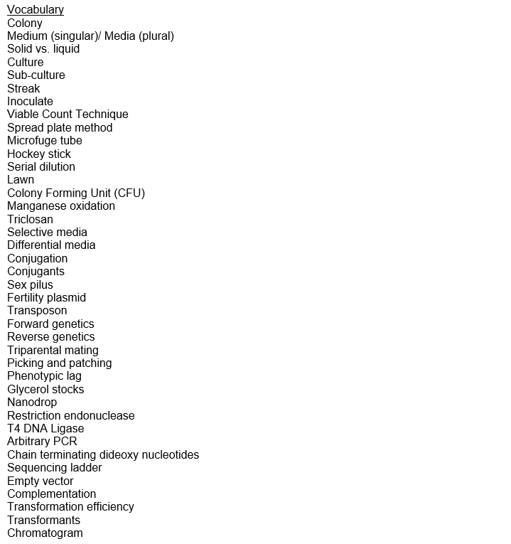 Solved Vocabulary Colony Medium (singular)/ Media (plural) | Chegg.com