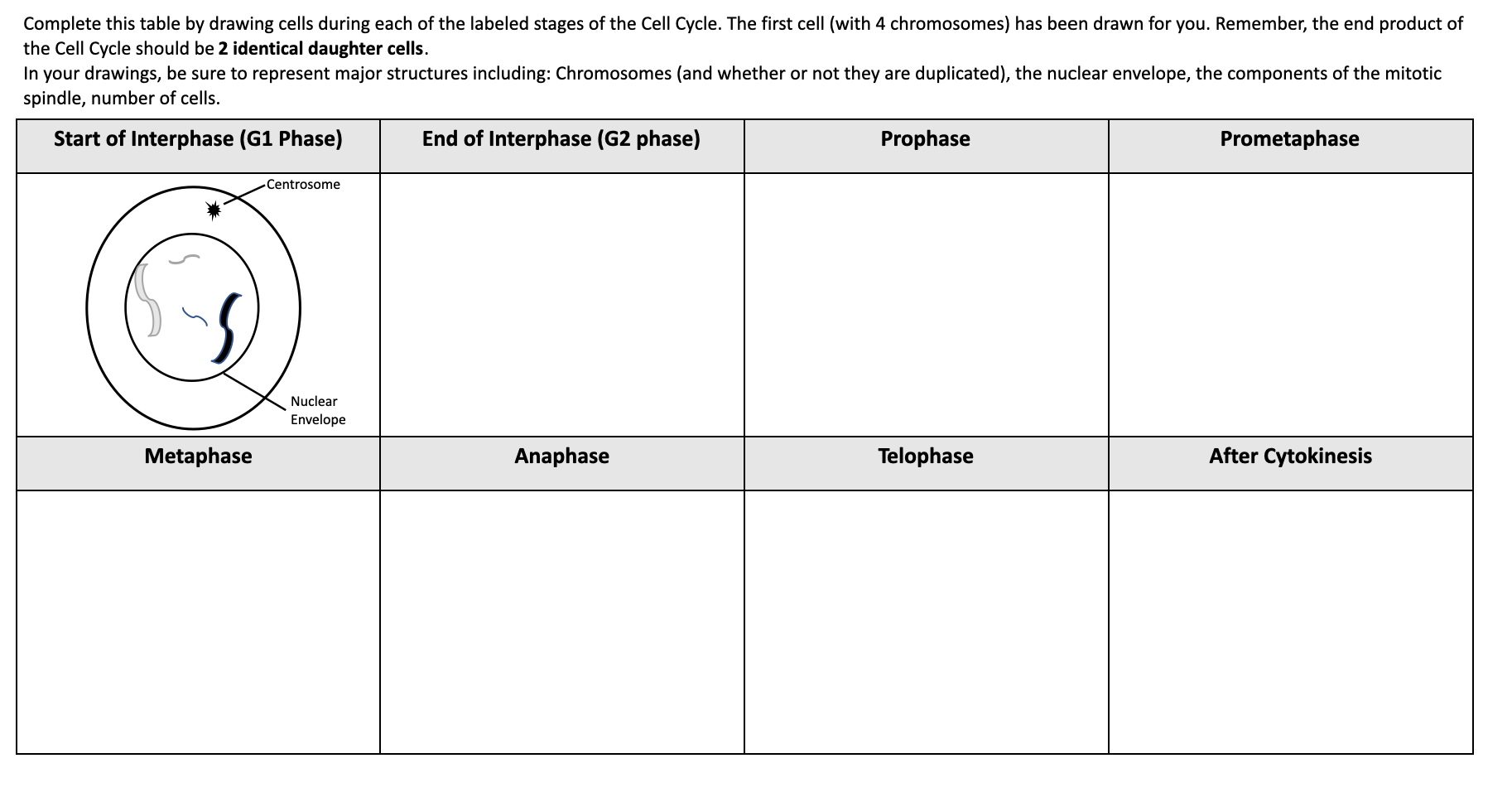 Solved Complete this table by drawing cells during each of | Chegg.com