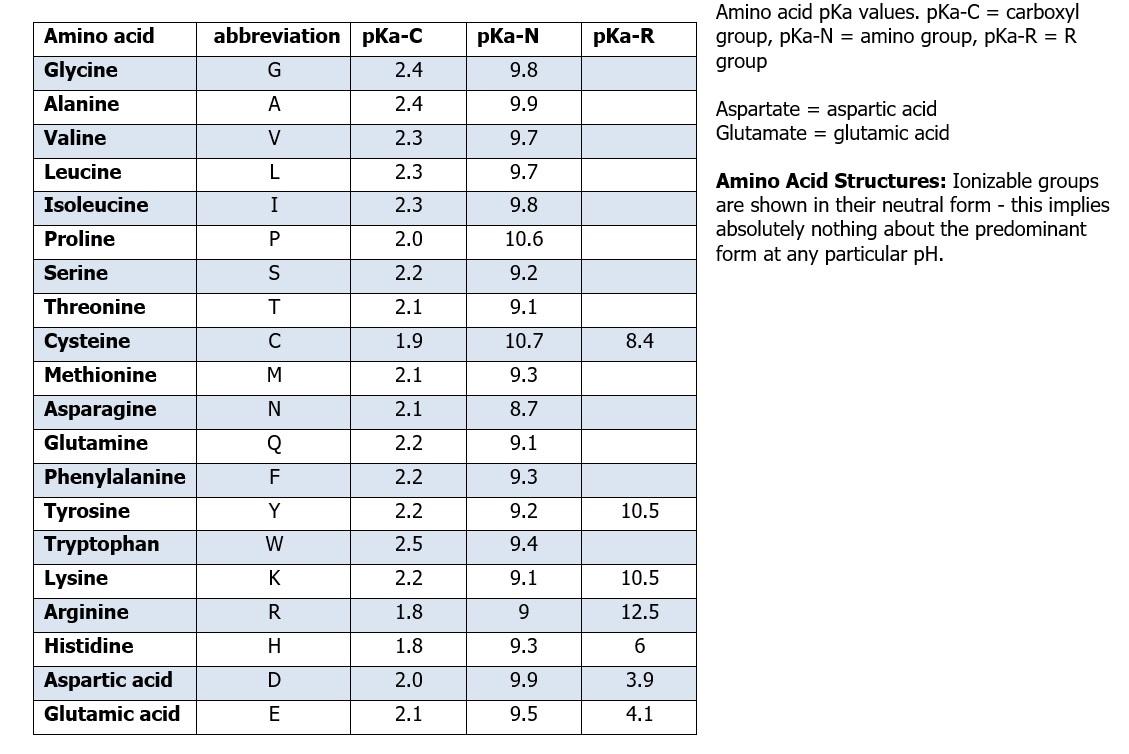 Solved Draw the peptide sequence lysine, glutamic acid, | Chegg.com