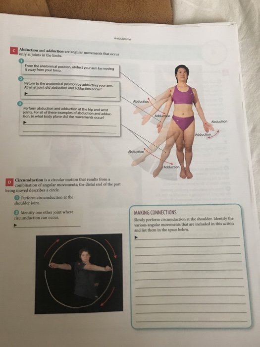 Solved Abduction and adduction are angular movements that | Chegg.com