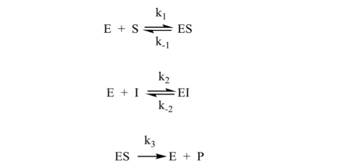 Solved In competitive inhibition, the inhibitator attaches | Chegg.com