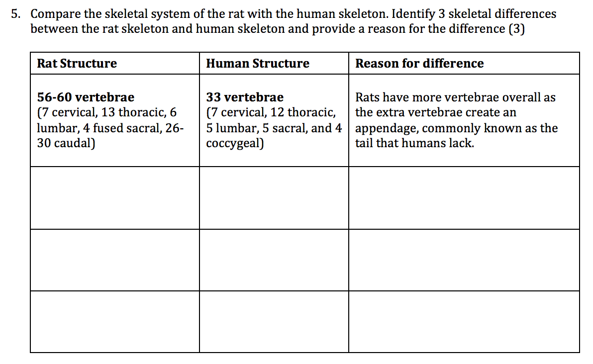 Solved 5. Compare the skeletal system of the rat with the | Chegg.com