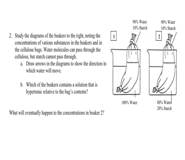 Solved Study the diagrams of the beakers to the right, | Chegg.com