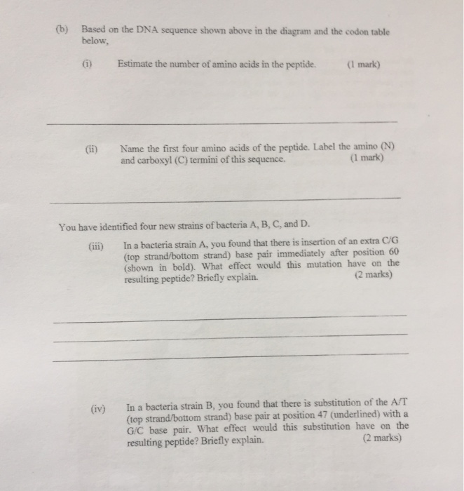Solved Below is a DNA sequence of part of a hypothetical | Chegg.com