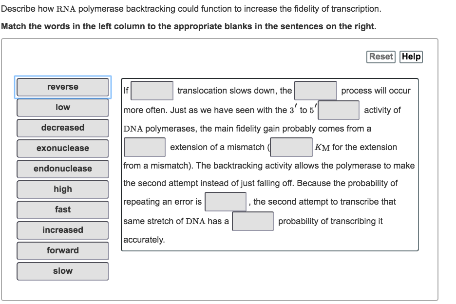 Solved Describe how RNA polymerase backtracking could | Chegg.com
