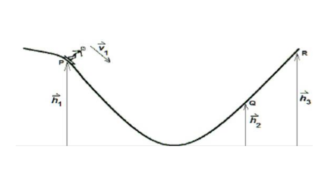 Solved When a n 82.0 kg skateboard passes point P, her | Chegg.com