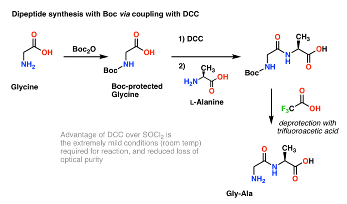 Solved Dipeptide synthesis with Boc via coupling with DCC | Chegg.com